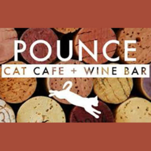 Adopt Around Town – Charleston Animal Society