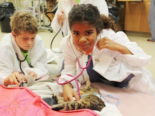 SPRING VET CAMP April 7th-10th (Ages: 8-12) – Charleston Animal Society