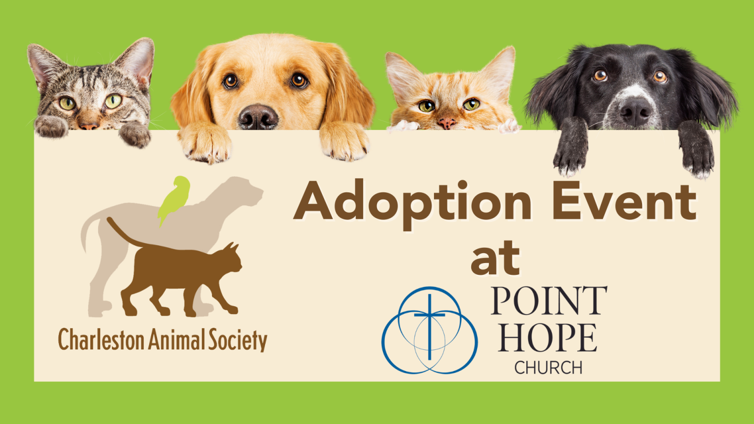 PetSmart National Adoption Week – Charleston Animal Society