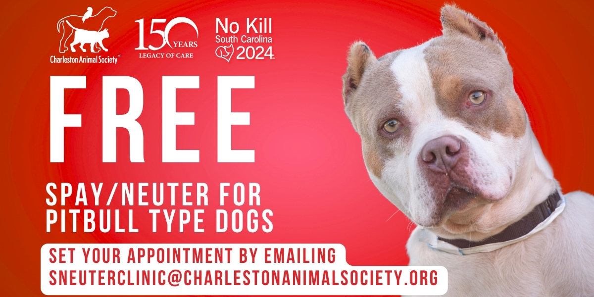 SPAY NEUTER – Charleston Animal Society