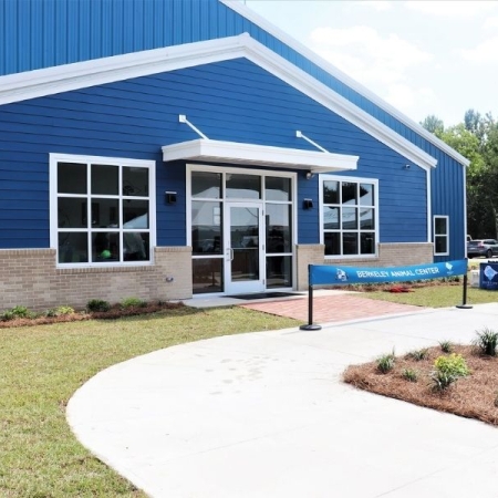 LOWCOUNTRY PAWS UNITE: BERKELEY, CHARLESTON AND DORCHESTER SHELTERS ARE ...