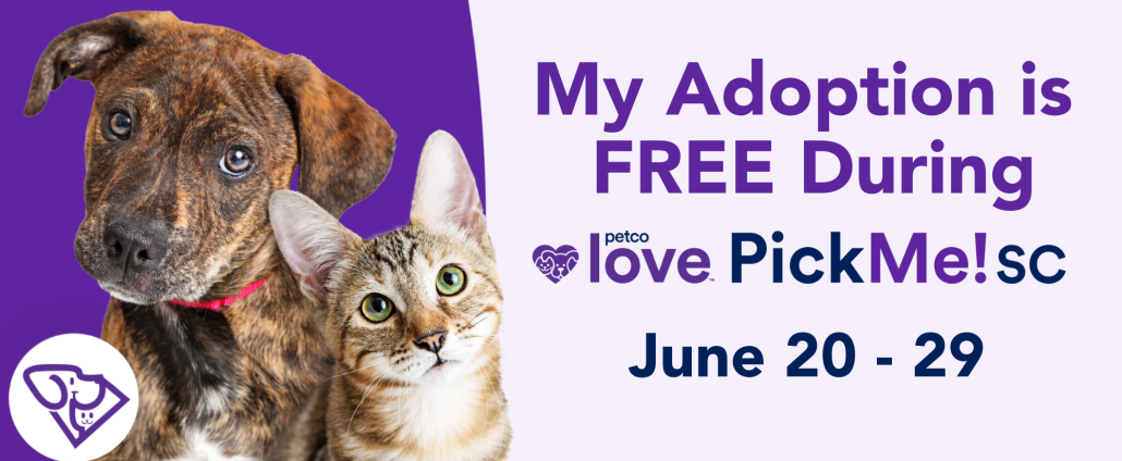 Adopt – Charleston Animal Society