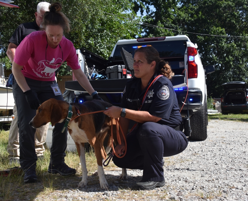 Charleston Animal Society – South Carolina's #1 Charity