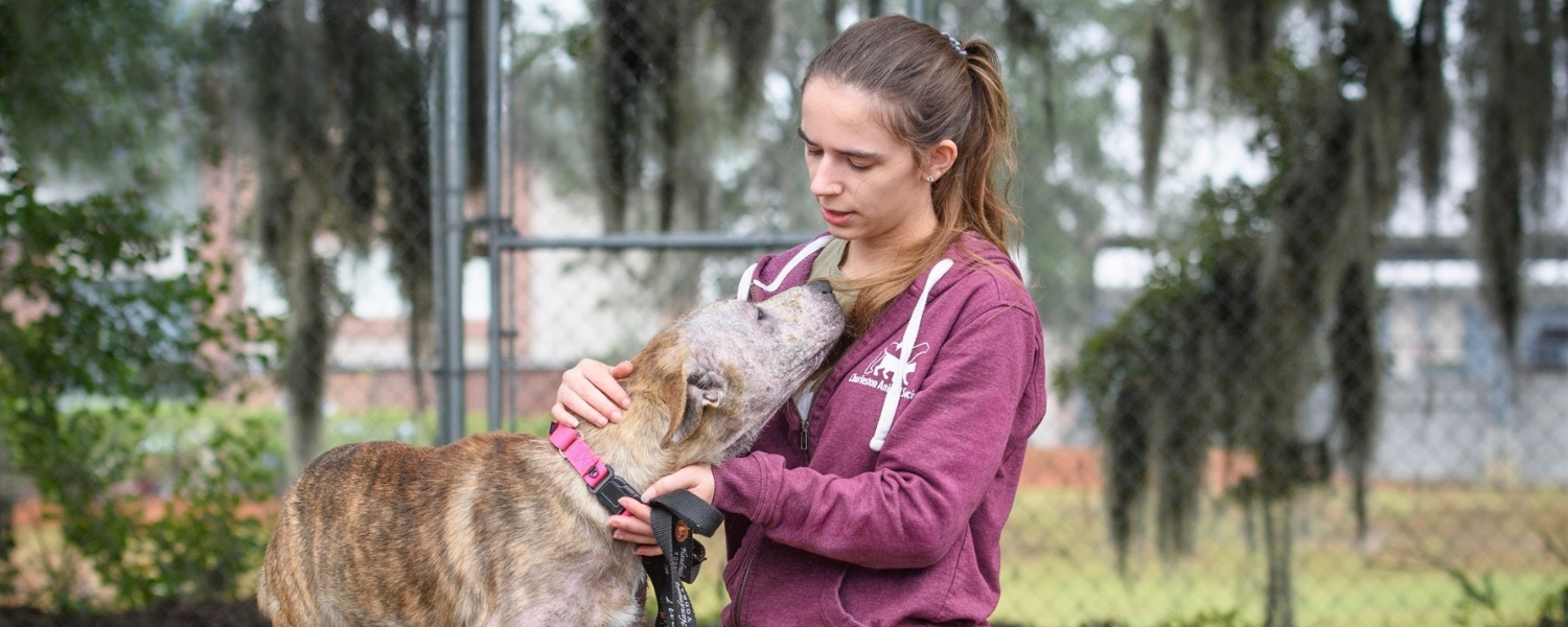 Kennel Technician: Berkeley Campus – Charleston Animal Society